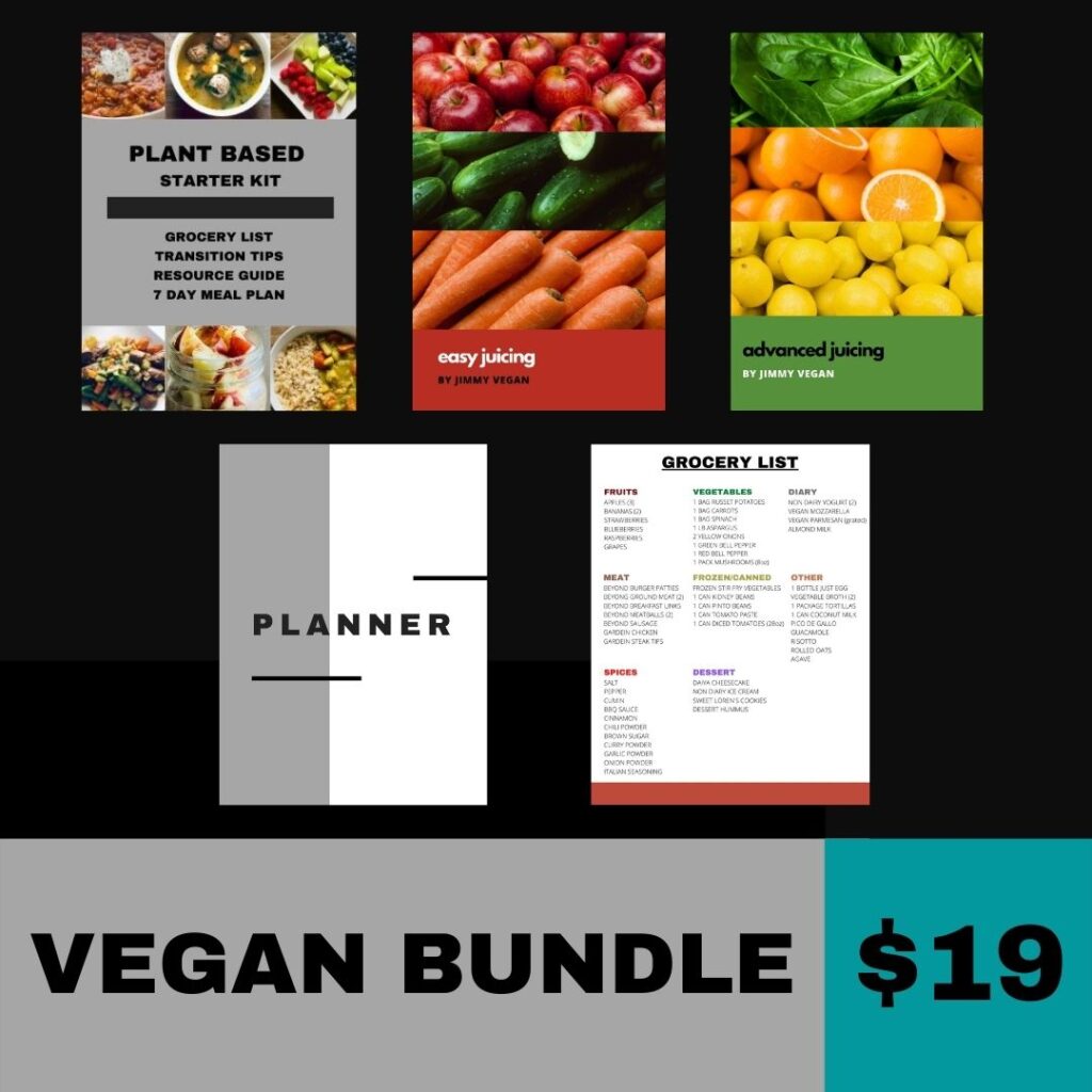 VEGAN 101 - jimmy vegan